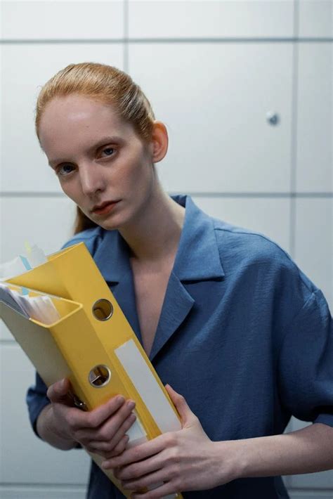 Plastic Blue Leaf File For Office Paper Size A4 At ₹ 100 Piece In Greater Noida