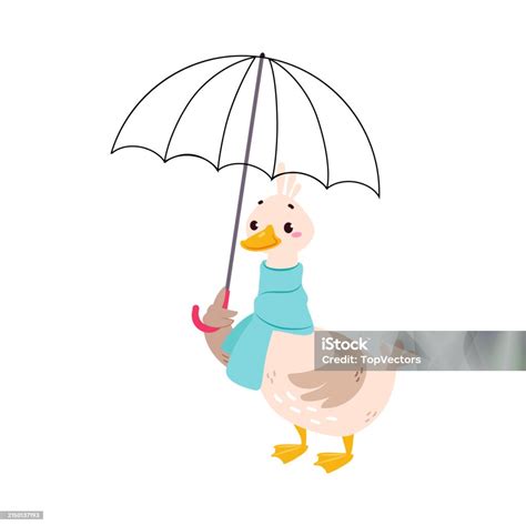 재미있는 거위 캐릭터 에서 스카프 스탠드 와 우산 벡터 일러스트 가금류에 대한 스톡 벡터 아트 및 기타 이미지 가금류 거위 새 걷기 Istock
