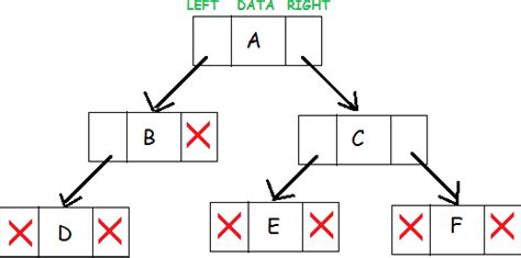 Binary Trees Bench Partner