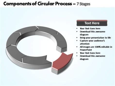 PowerPoint Design Diagram Components Of Circular Ppt Slide