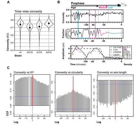 Morphology And Trajectory Follow A Causal Relationship Download Scientific Diagram