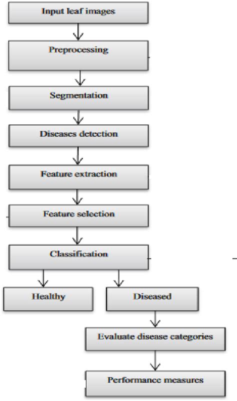 Figure 1 From Need Of Feature Extraction In Coconut Tree Disease Detection A Review Semantic