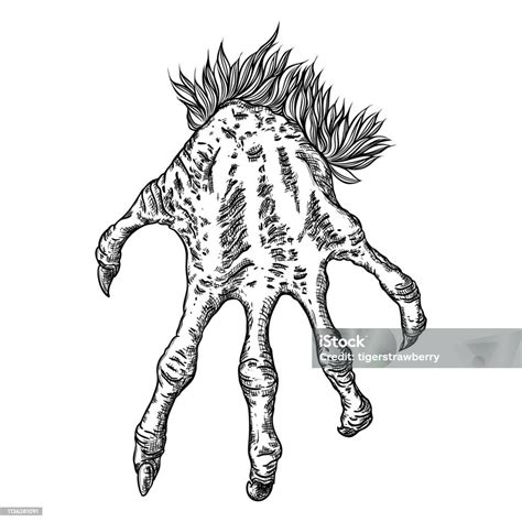 조각 몬스터 손 좀비 늑대 인간 드래곤 또는 뱀파이어 손바닥 손 긴 손톱 공격 제스처에 벡터 무서움에 대한 스톡 벡터 아트 및 기타 이미지 Istock