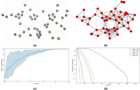 For The Scale Free Topology In A We Show The Interaction Graph In
