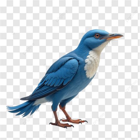 Bird On A White Background Clipart Illustration Bird On A White