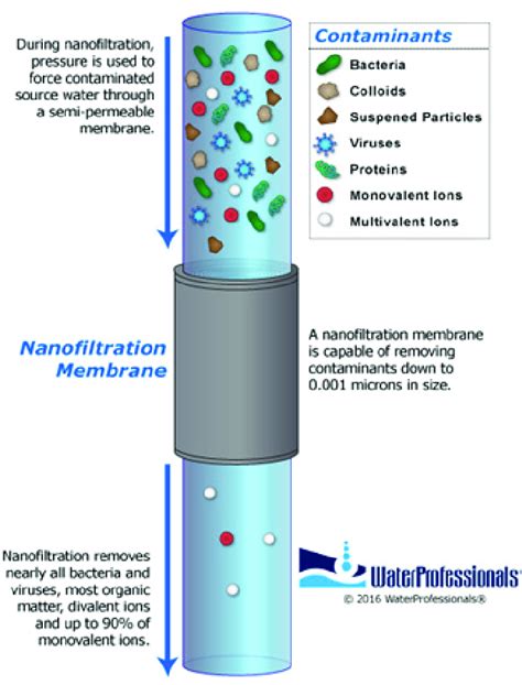 Contaminants Removed By Nanofiltration [92] Download Scientific Diagram