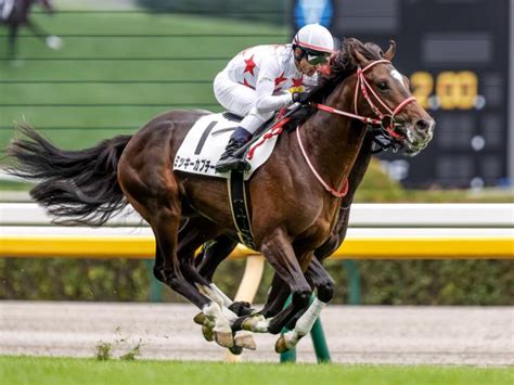 【東京5r新馬戦結果】ミッキーカプチーノが好位追走から抜け出す 競馬ニュース Netkeiba