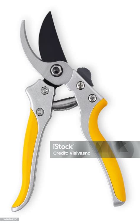식물 야채 및 꽃 정원 작업의 가지 치기를위한 노란색 그립이있는 단일 강철 원예 가위 포도원 또는 과일 나무의 가지 치기 클리핑 경로가 있는 흰색 배경에 격리된 상위 뷰