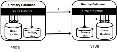 Principles Of Data Guard Download Scientific Diagram