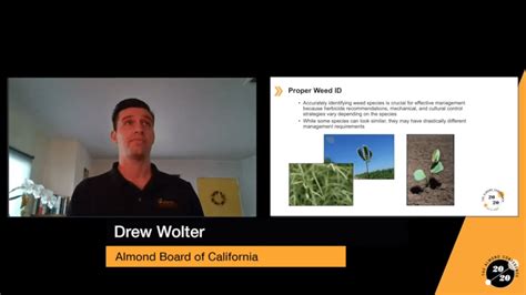 Effective Weed Management Considerations Almond Learning Hub