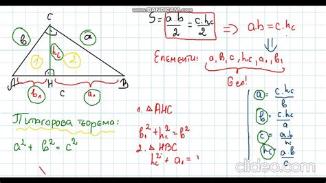 Метрични зависимости в правоъгълен триъгълник 9 клас Youtube