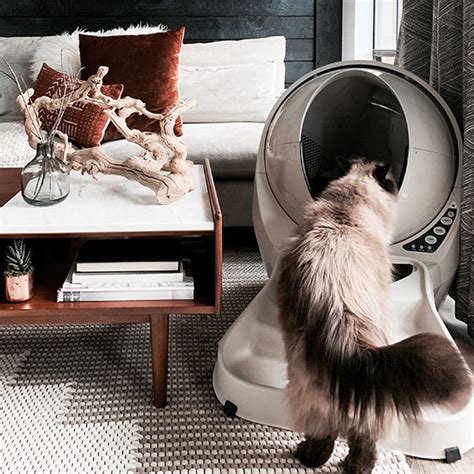 Explore Litter Robot Connect Highest Rated Automatic Litter Box