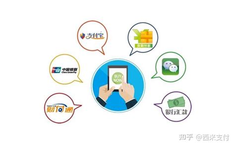 线上支付的四种支付类型介绍 知乎