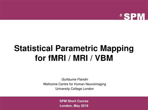 Ppt Statistical Parametric Mapping For Fmri Mri Vbm Powerpoint Presentation Id 8906001