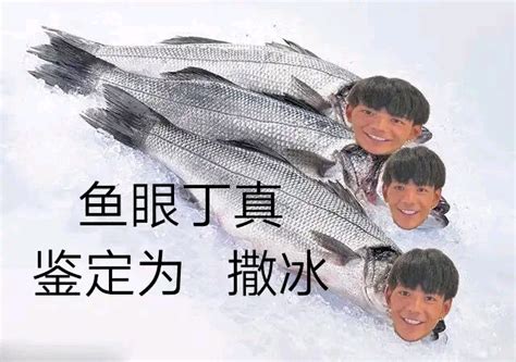 丁真表情包大赏 清北博客