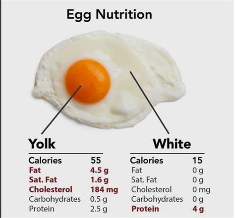 Egg Whites Vs Whole Eggs A Calorie Comparison For Health Enthusiasts