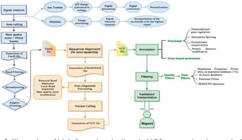 Figure 2 From The Bioinformatics Application In Detecting Germline And