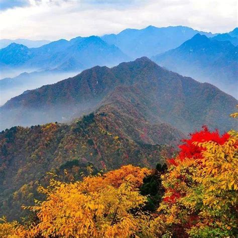 旅游与摄影 十六处最美秋色，你去过几个红色金色六盘山