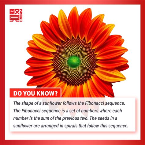 Kenken Uae The Fibonacci Sequence Is A Set Of Numbers Where Each