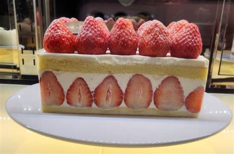 롯데호텔 델리카한스 크리스마스케이크 예약 네이버 블로그