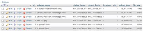 Serving Static Files Debian Nginx No Apache Web Hestia