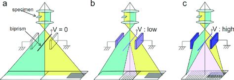 Formation Of Interference Fringes With Increasing Biprism Voltage V Download Scientific