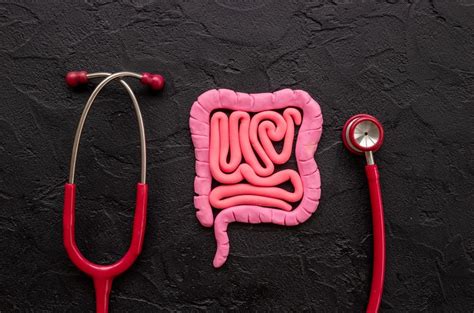 The Estrobolome How The Gut Impacts Estrogen Levels And Hormone