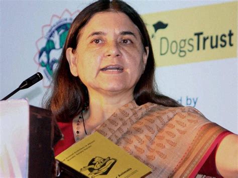 Maneka Proposes National Register For Sex Offenders Irrespective Of