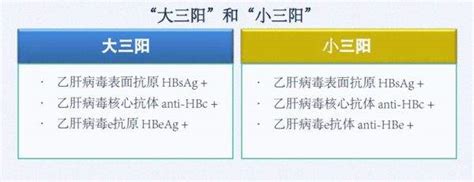 乙肝小三阳和乙肝大三阳是怎么回事 乙肝知识 文章中心 战胜乙肝网