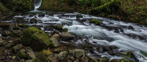 A Beginners Guide To Data Streaming With Kafka Nodejs And Dev Community