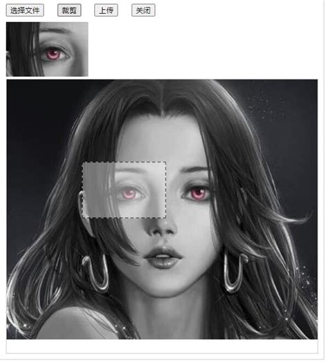 纯js实现图片裁剪上传至服务端，html5简洁示例（单条结果输出） 墨鱼部落格