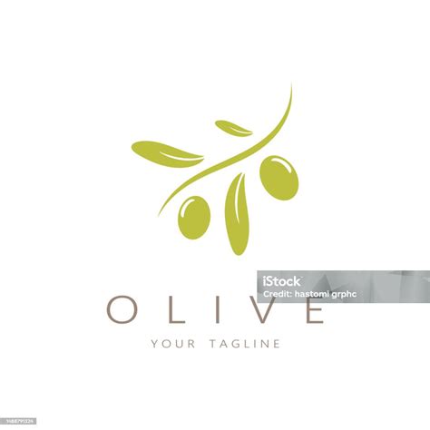 잎 식물 로고와 천연 올리브 과일 허브 올리브 오일 화장품 또는 미용 비즈니스 미용 농업 생태 개념 스파 건강 요가 센터 벡터 0명에 대한 스톡 벡터 아트 및 기타 이미지