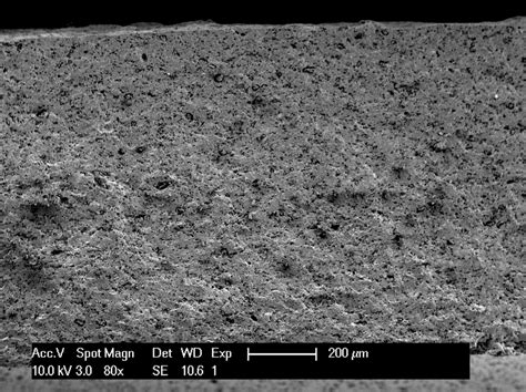 3 The Pore Size Of Ciped Tubes With Rice Starch Pore Former A Download Scientific Diagram