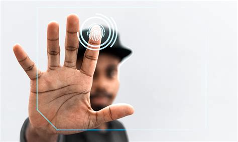 How To Recover Wordpress Additional Css In 2022 Increasily