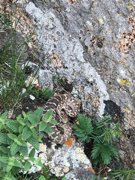 Манд мн СЭРЭМЖЛҮҮЛЭГ‼ Сүүлийн үед нийслэлийн суурьшлын