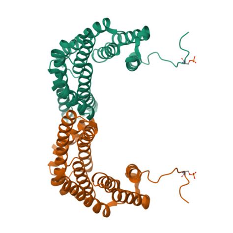 Rcsb Pdb 8ah2 Crystal Structure Of Human 14 3 3 Zeta Fused To The
