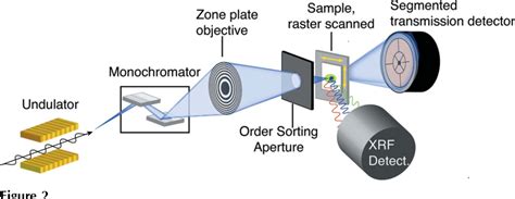 Figure 2 From Electronic Reprint Synchrotron Radiation Alignment Of Low Dose X Ray Fluorescence