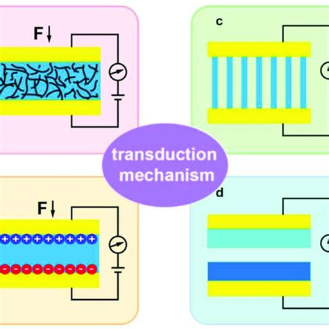 The Backbone Of Polyacetylene Pa With Single And Double Bonds Download Scientific Diagram