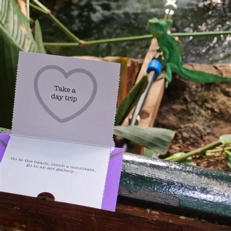 Date Night Box Full Of Date Ideas A Date Box For Any Couple