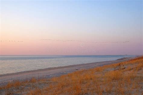 Golden Coastal Dunes And Calm Sea At Sunset With Migrating Birds Flying