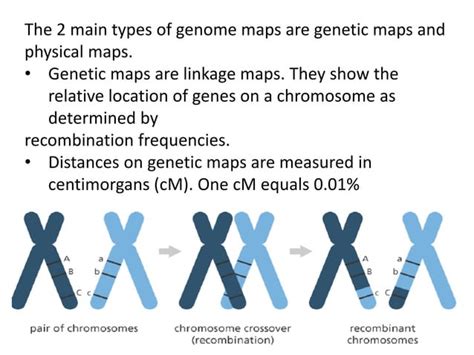 Genomics Mapping And Sequencingpdf Biological Sciences Science