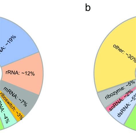 Ab The Proportion Of Various Types Of Rna And The Pocket Download Scientific Diagram Ab The Proportion Of Various Types Of Rna And The Pocket Download Scientific Diagram