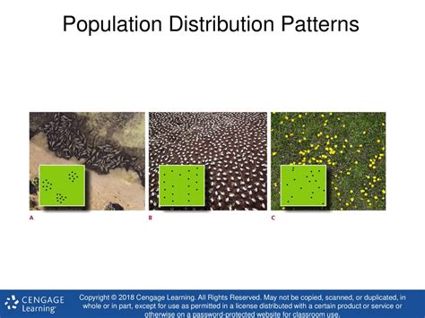 Biology Concepts And Applications Ppt Download