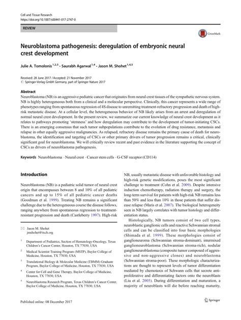 Pdf Neuroblastoma Pathogenesis Deregulation Of Embryonic Neural