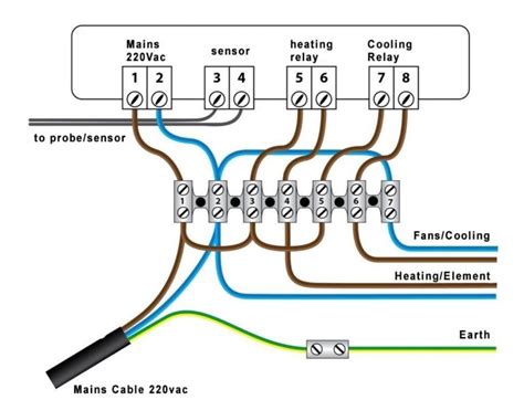 Digital Temperature Controller Online Hydroponics Shop