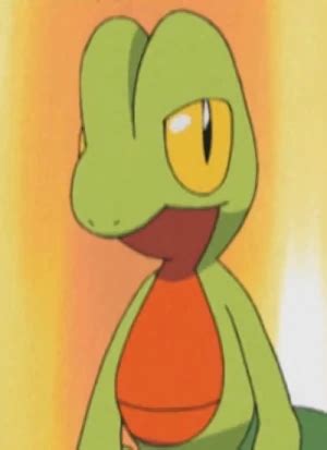 Treecko Character AniSearch Com Treecko Character AniSearch Com
