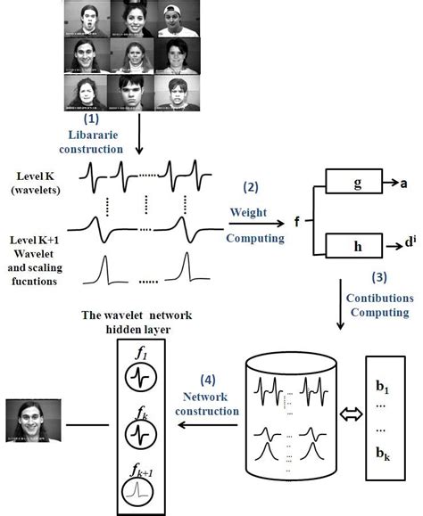 Learning Wavelet Network Using Fwt Principle Download Scientific Diagram