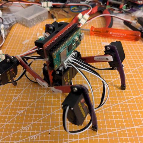 Sly Bug Hackaday Io