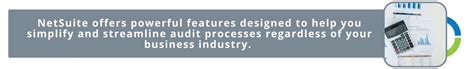Netsuite For Audit Support Fusion Cpa