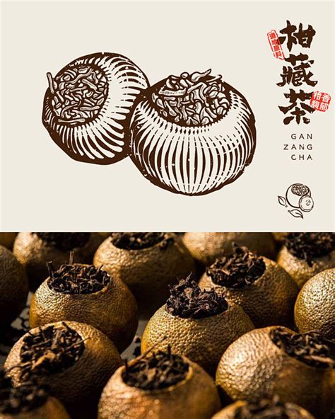 小青柑插画